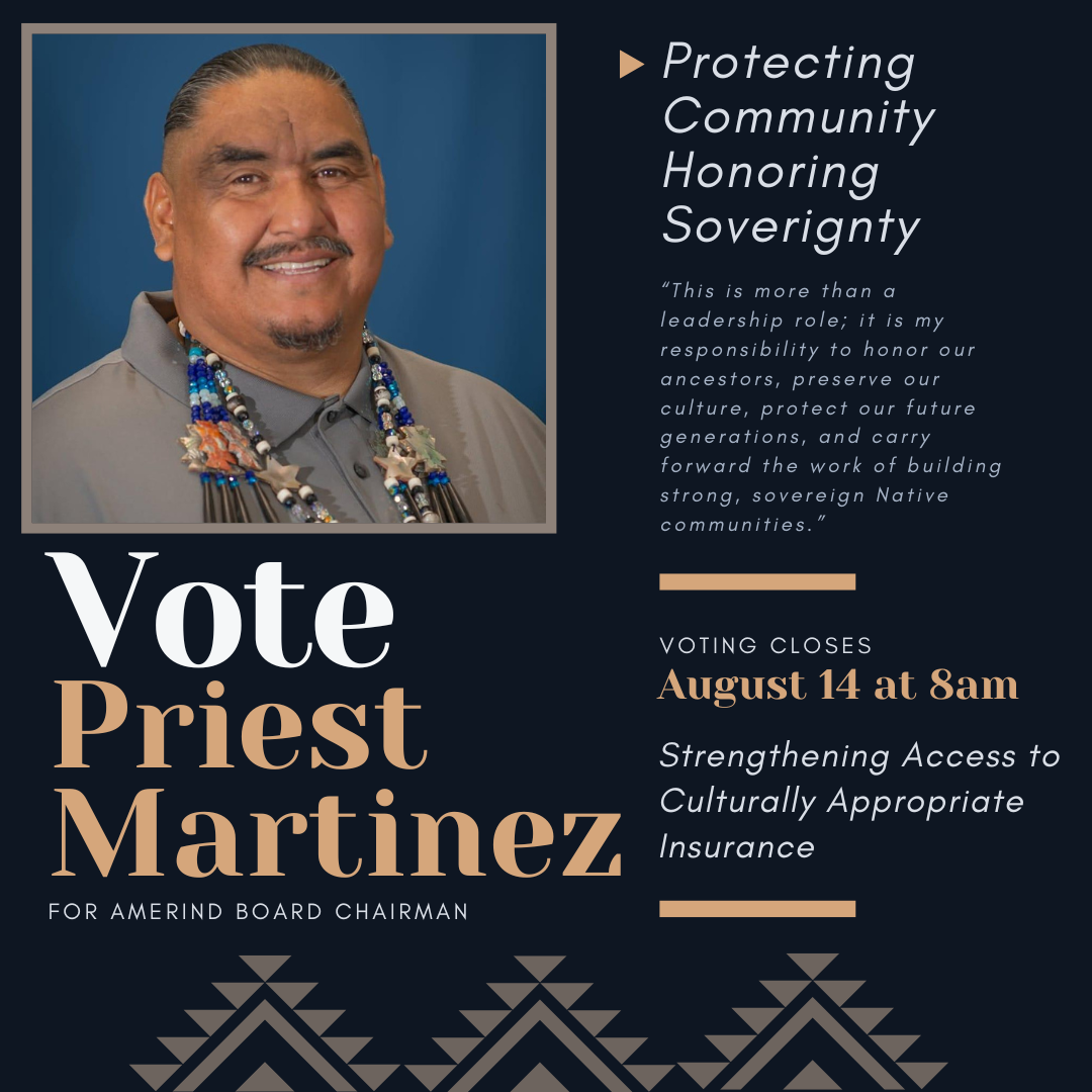 Let’s Unite Behind a Strong Leader for AMERIND Chair – Pala Housing ...